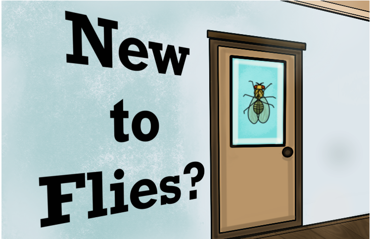 301 Moved Permanently