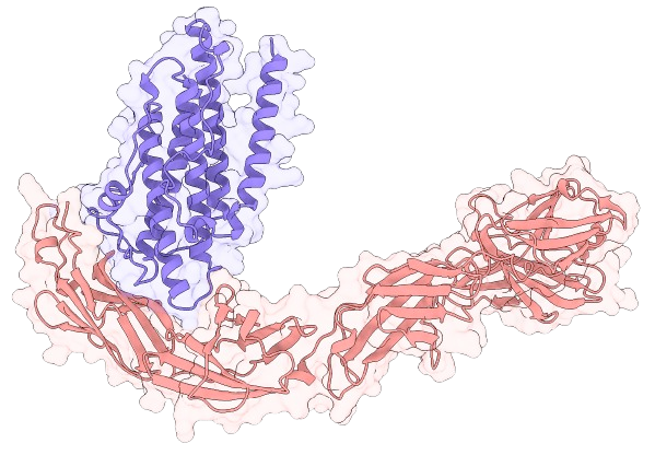 301 Moved Permanently